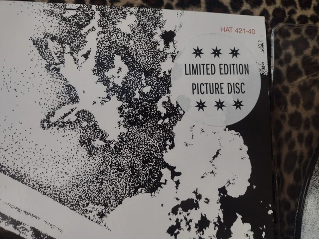 VERY RARE LIMITED Edition Led Zeppelin Picture Disc Vinyl Lp EUR 43,06 ...