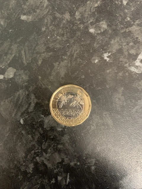 RARE 2025 1 Pound Bee Coin King Charles III UK £50.00 - PicClick UK