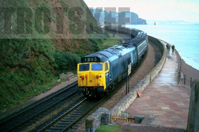 35MM SLIDE BR British Railways Diesel Loco Class 50 50024 1975 Original ...