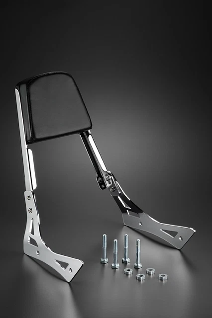 RESPALDO HONDA VT 750 SHADOW BLACK WIDOW Spirit sissy bar RC48 EUR 120 ...