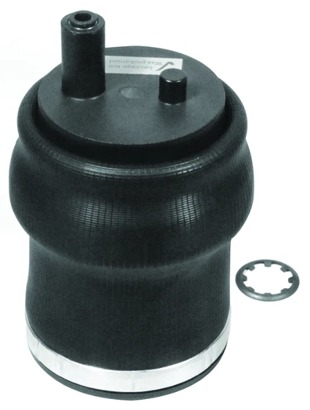 CELLULE SUSPENSION PNEUMATIQUE Cabine Pour Renault Fe OE 5010629414 EUR ...