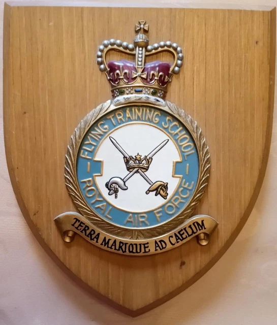 OLD RAF ROYAL Air Force Station Flying School 1 Squadron Crest Shield ...