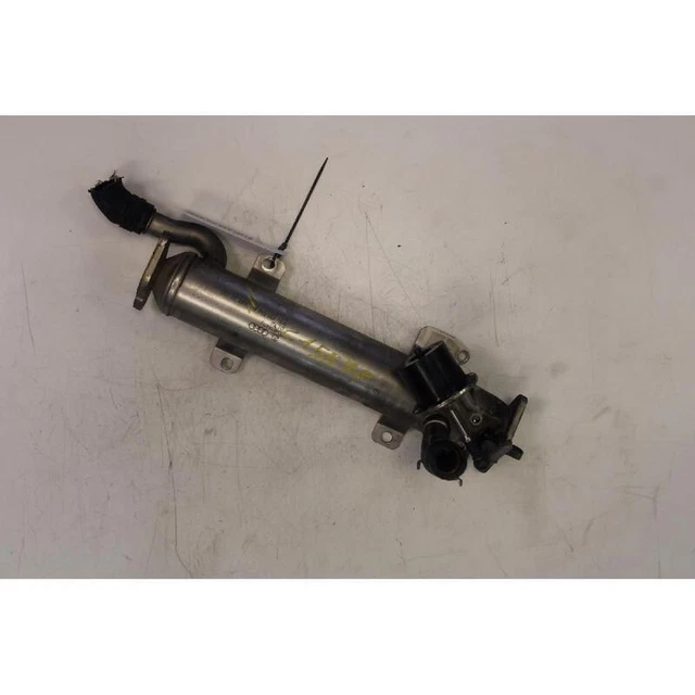 RADIATEUR VANNE EGR Pour Volkswagen Golf 6A Serie (08-12) 2.0 16V Tdi (103Kw) EUR 135,00 ...