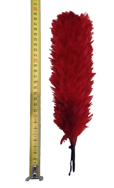 PLUMET ROUGE POUR casque de Cuirassier, Pompier, hauteur 25 cm, belle ...
