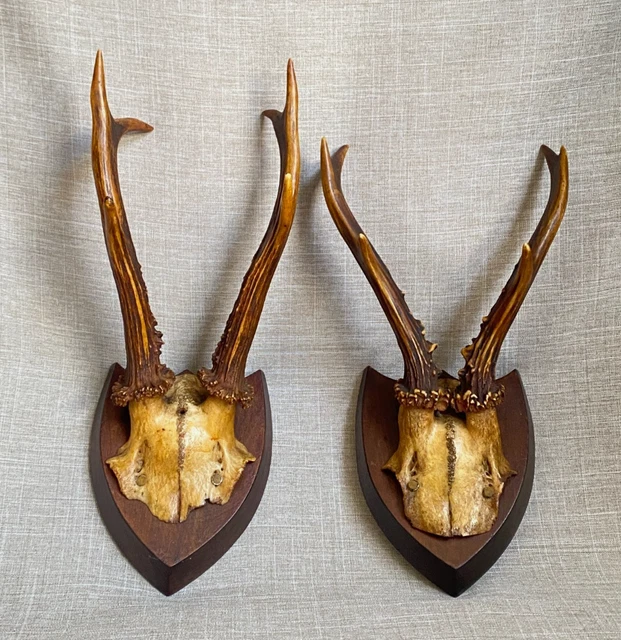 ANTIQUE 2X C1890 Carved Wood Shield Deer Antler Hunting Trophies Wall ...
