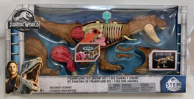 MATTEL JURASSIC PARK World TYRANNOSAURUS REX ANATOMY STEM KIT Dinosaur ...