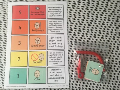 ANGER THERMOMETER 5 Point Scale Feelings Chart ASD ADHD SEN Autism ...