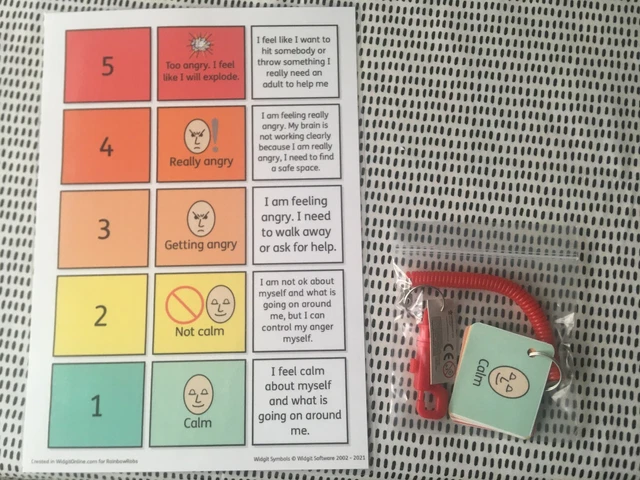 ANGER THERMOMETER 5 Point Scale Feelings Chart ASD ADHD SEN Autism ...