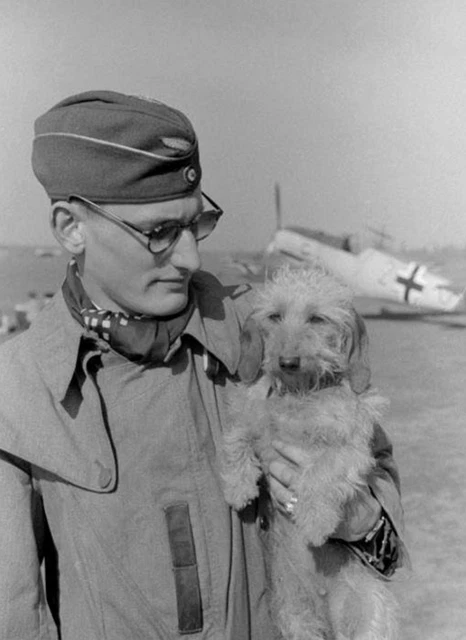 WW2 WWII PHOTO German Luftwaffe Pilot with Dog World War Two Germany ...