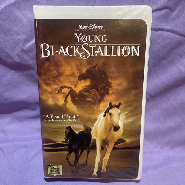 YOUNG BLACK STALLION (VHS, 2004) £4.77 - PicClick UK