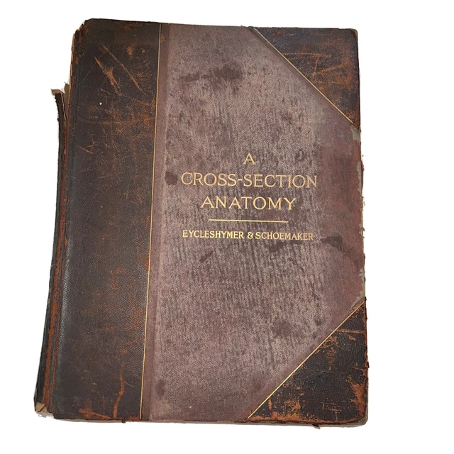 A CROSS-SECTION ANATOMY Eycleshymer& Schoemaker First Edition 1911 ...
