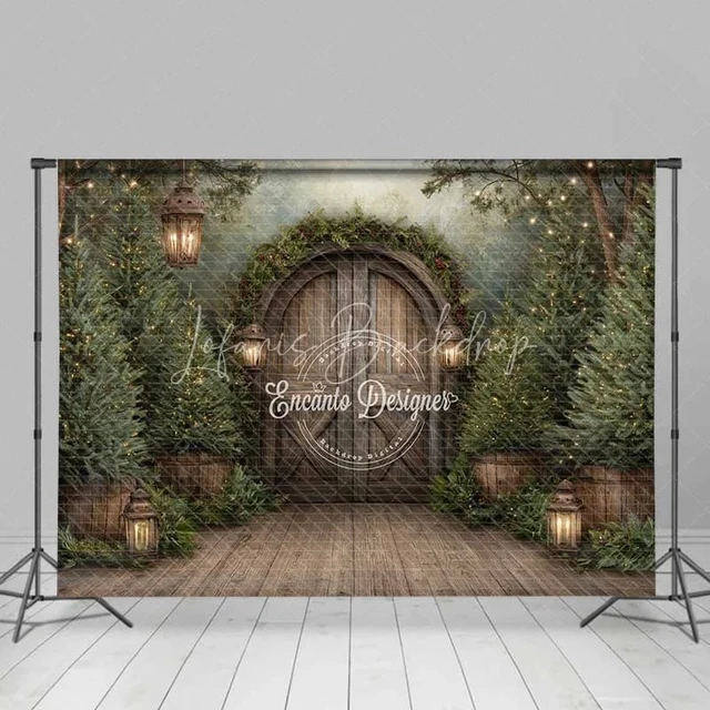 LOFARIS RUSTIC WOODEN Barn Door Christmas Backdrop, Winter Farmhouse ...