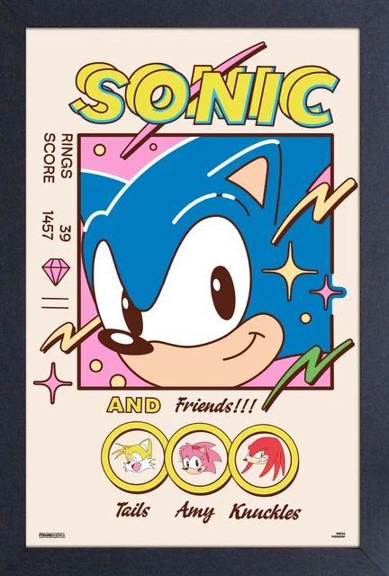 SONIC THE HEDGEHOG SONIC AND FRIENDS 13x19 FRAMED GELCOAT POSTER VIDEO ...