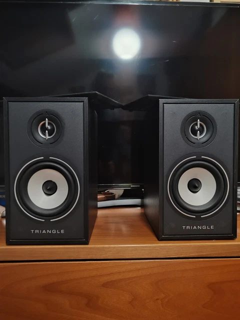 TRIANGLE BR 02 Coppia Casse Acustiche Hi-Fi Stereo Diffusori Br02 Borea ...