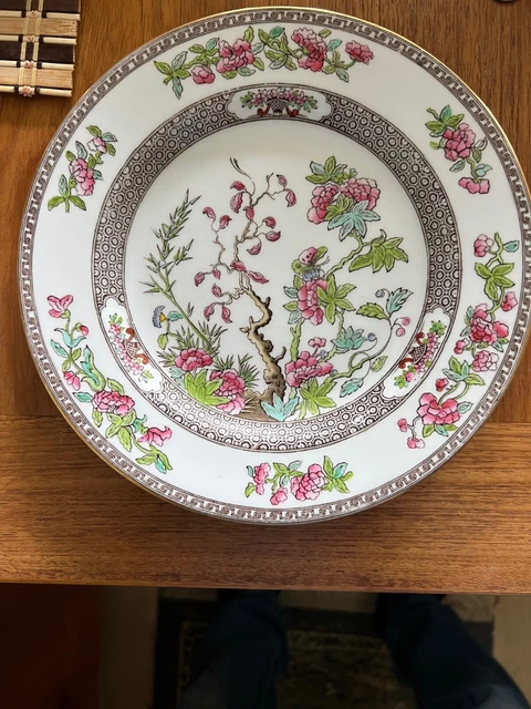 SPODE COPELAND INDIAN Tree pattern (multicolor, not rust) English china ...