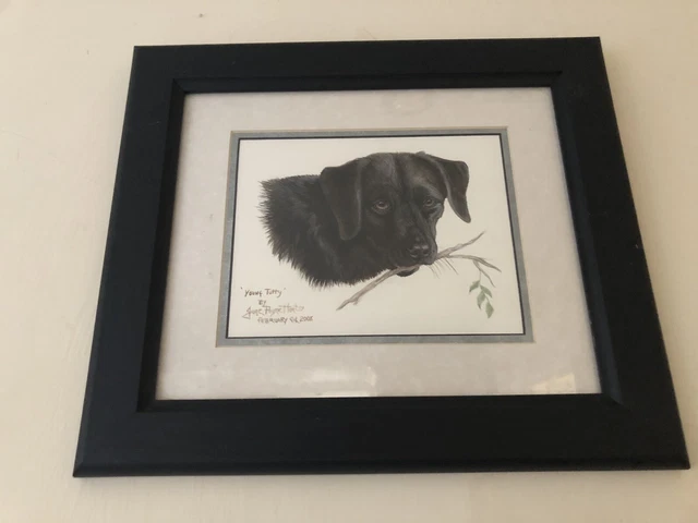JANE PAYNE HART Original Water Colour " Young Totty" Painting £75.00 ...