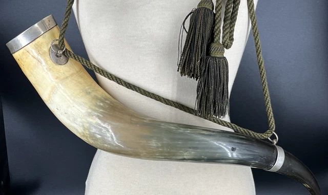 CORNE BOVIDÉ, ZÉBU, 70CM, Plaque Société Chorale Genève 1853 LALYRE ...