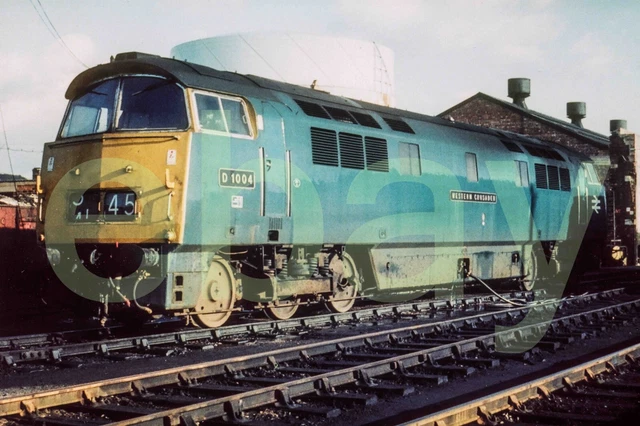UK DIESEL TRAIN Railway Photograph Of Class 52 Western D1004. Rm52-15 £ ...