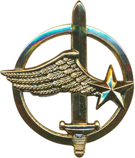 BERET BADGE, COMMANDOS de l'Air, matricated back, 2 rings, Beraudy ...