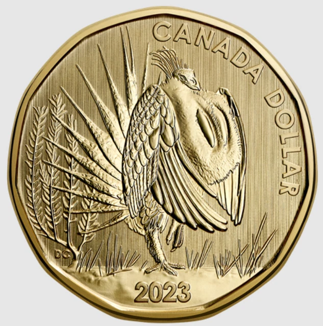 2023 CANADA GREATER Sage-Grouse Specimen Loon Dollar $1 coin only $49. ...