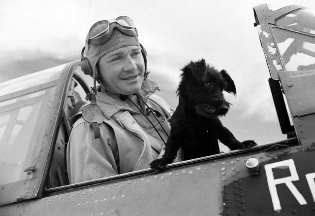 WW2 PHOTO WWII US Navy Pilot and Dog Midway Atoll 1942 World War Two ...