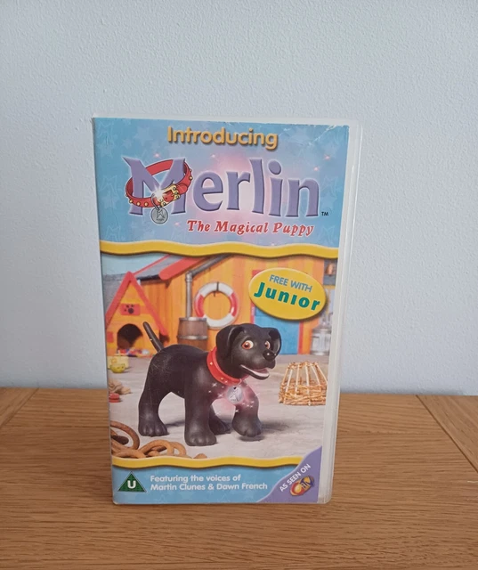 INTRODUCING MERLIN THE Magical Puppy VHS Video Tape Tested £15.00 ...