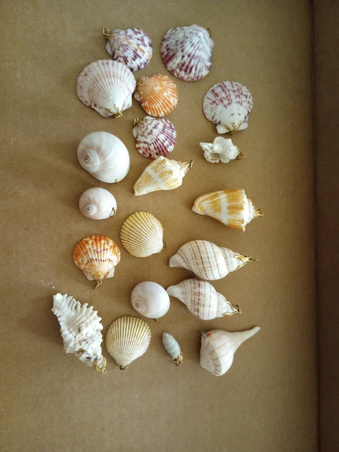 20 ASSORTED SEA Shells made to put on necklaces $1.99 - PicClick