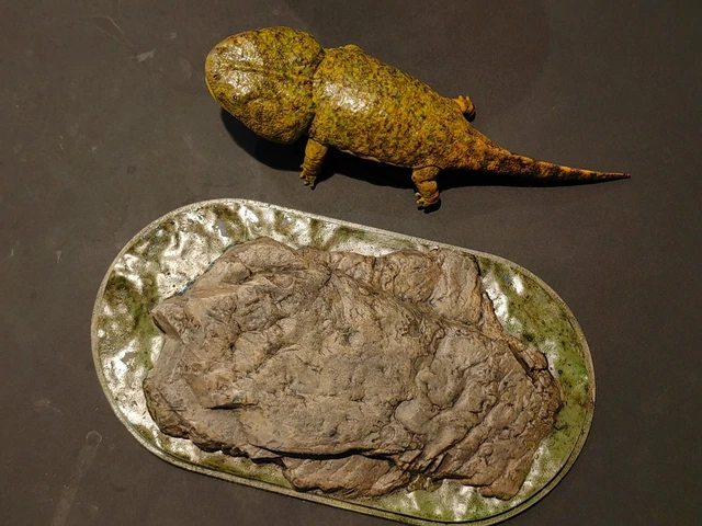 KOOLASUCHUS RESIN DINOSAUR 1:35 Model Figure Prehistoric One of a Kind ...