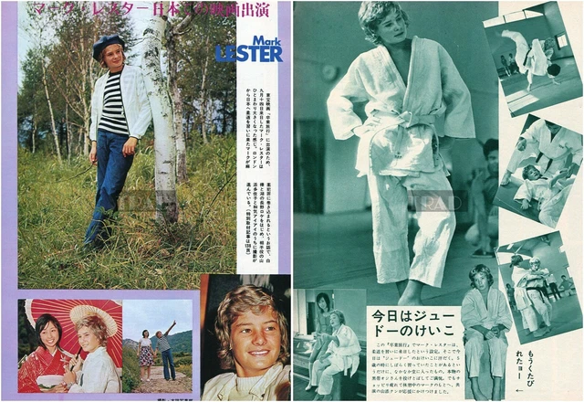 CHARLES BRONSON KARATE 1972 Vintage JPN Picture Clippings 2-SHEETS mc/t ...