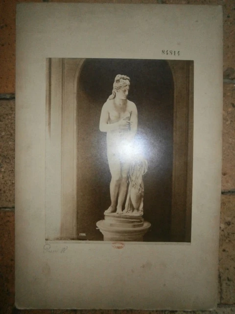 VENERA CAPITOLINA DE statue bibliotheque Forney pierre 88 photographie ...