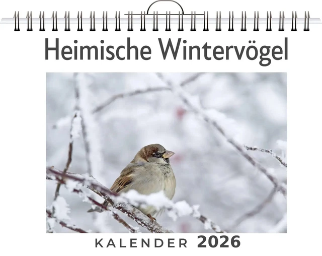 HEIMISCHE WINTERVÖGEL AVA Keller Kalender Deutsch 2026 FlipFlop EUR 21 ...