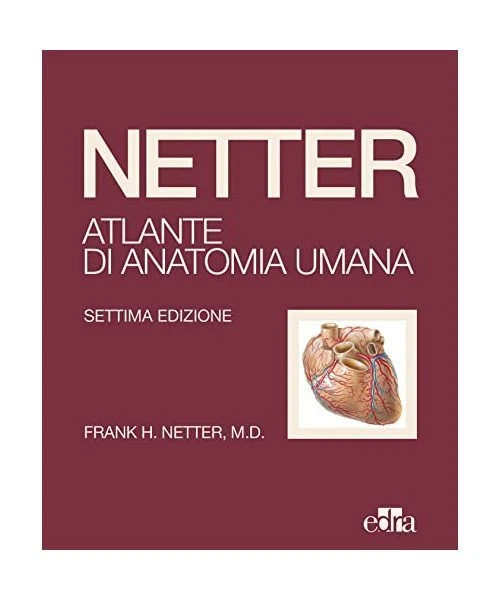 NETTER. ATLANTE DI anatomia umana, Netter, Frank H. EUR 95,53 - PicClick FR