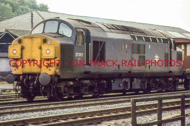 UK RAILWAY PHOTOGRAPH Of Class 37 37067. Rm37-251 £1.70 - PicClick UK
