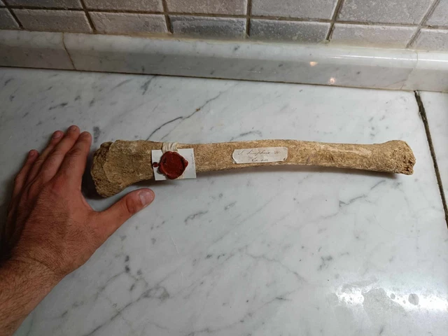 RAREST SAINT SIMPLICIA Martyr relic reliquary reliquia relique ...