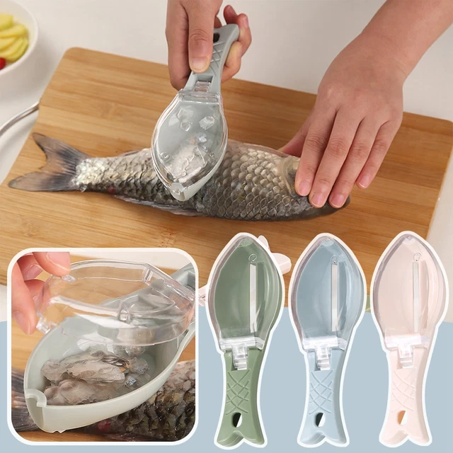 MANUAL SCALE REMOVER With Cover, Kitchen Small Tool For Scale Removal ...