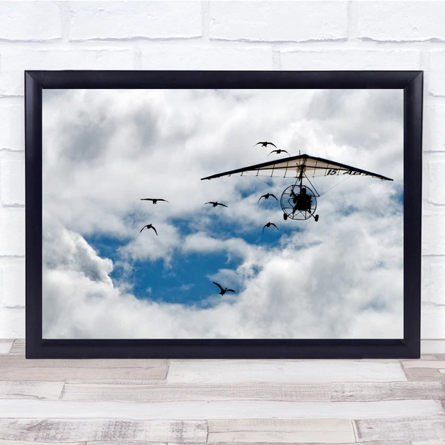 FLIGHT FLY AVIATION Pilot Action Geese Goose Birds Clouds Sky Wall Art ...