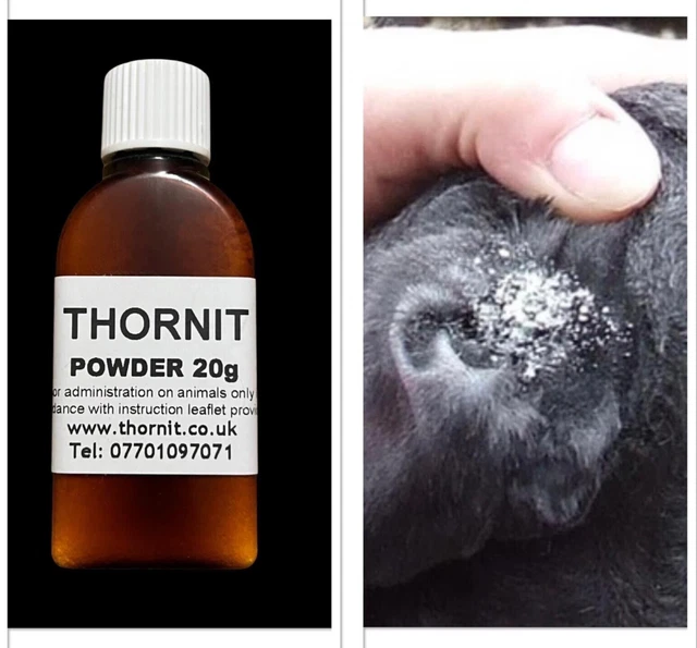 THORNIT EAR MITE Powder -The GENUINE ORIGINAL PROVEN ANTI-ITCH FORMULA ...