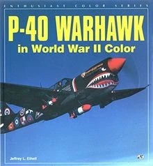 P-40 WARHAWK IN World War II Color de Ethell, Jeffrey | Livre | état bon EUR 12,23 - PicClick FR