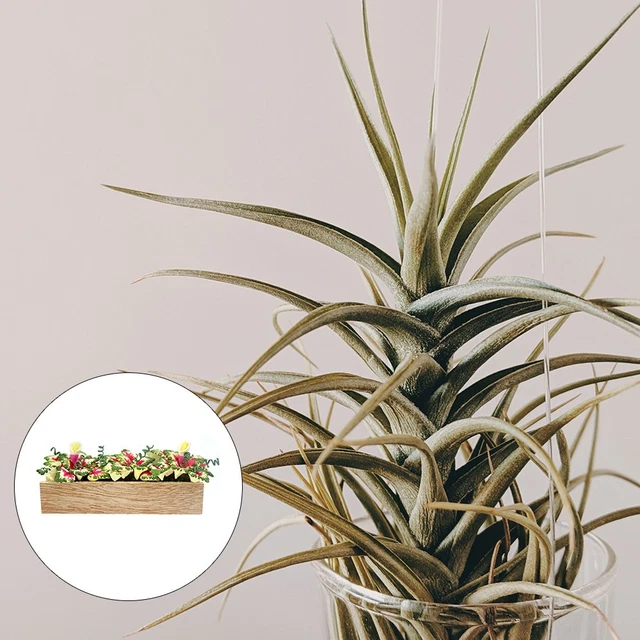 MINI HOUSE ADORNMENT Miniature Kit Minihouse Decoration Scene Accessory ...