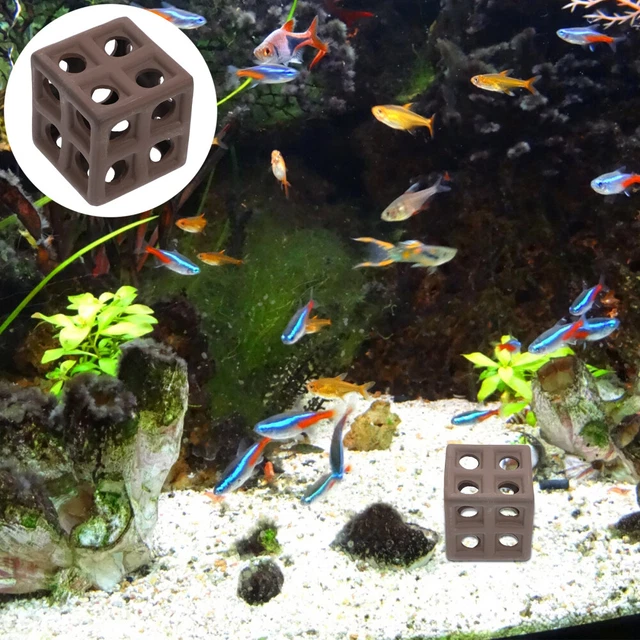 CACHE CREVETTE DÉCOR De Paysage D'aquarium Maison Cachette Poisson ...