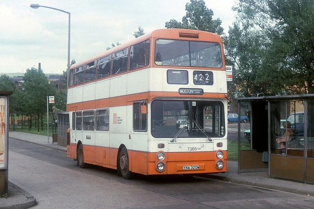 GREATER MANCHESTER TRANSPORT 7365 Oldham 1980 Bus Photo £2.70 - PicClick UK