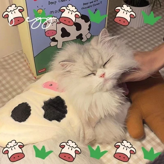 COW PRINT PUPPY Vest Plush Teddy Bear Coat Fashion Pet Dog Clothes ...