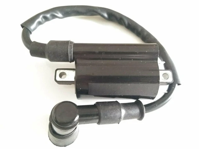 SACHS SFM 125 ZZ ZX ab 2013 bis 2019 Zündspule Supermoto Enduro DD ...