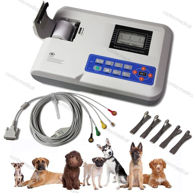 ECG100G VETERINARY ECG/EKG Machine Single Channel Electrocardiograph ...