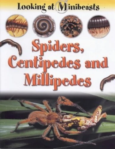 MINIBEASTS SPIDERS & CENTIPEDES (Look..., Morgan, Sally EUR 5,34 ...