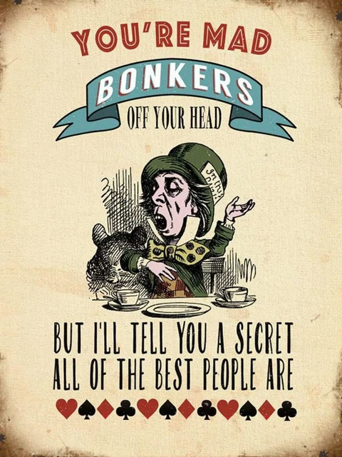 RETRO/VINTAGE STYLE DECORATIVE Metal Door Sign - "You're Mad Bonkers ...