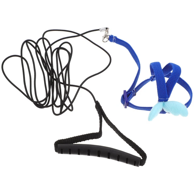 BALANÇOIRE PERROQUET CORDE Volante Laisse Pour Petits Oiseaux EUR 13,19 ...