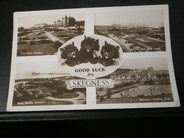 POSTCARD OF SKEGNESS Multiview with kittens (1953 posted) £0.75 ...