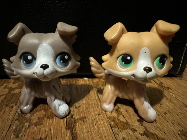 LITTLEST PET SHOP 272 LPS And 67 LPS Border Collie Dog Blemished $50.00 ...