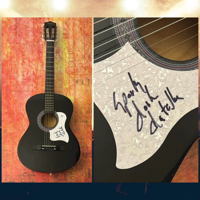 GFA LYNYRD SKYNYRD Bande Mark Sparky Matejka Signée Acoustique Guitare ...